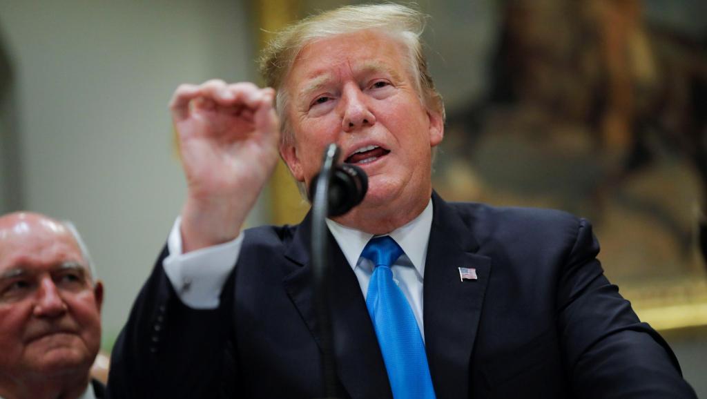 Donald Trump vs México – Radio Cultura
